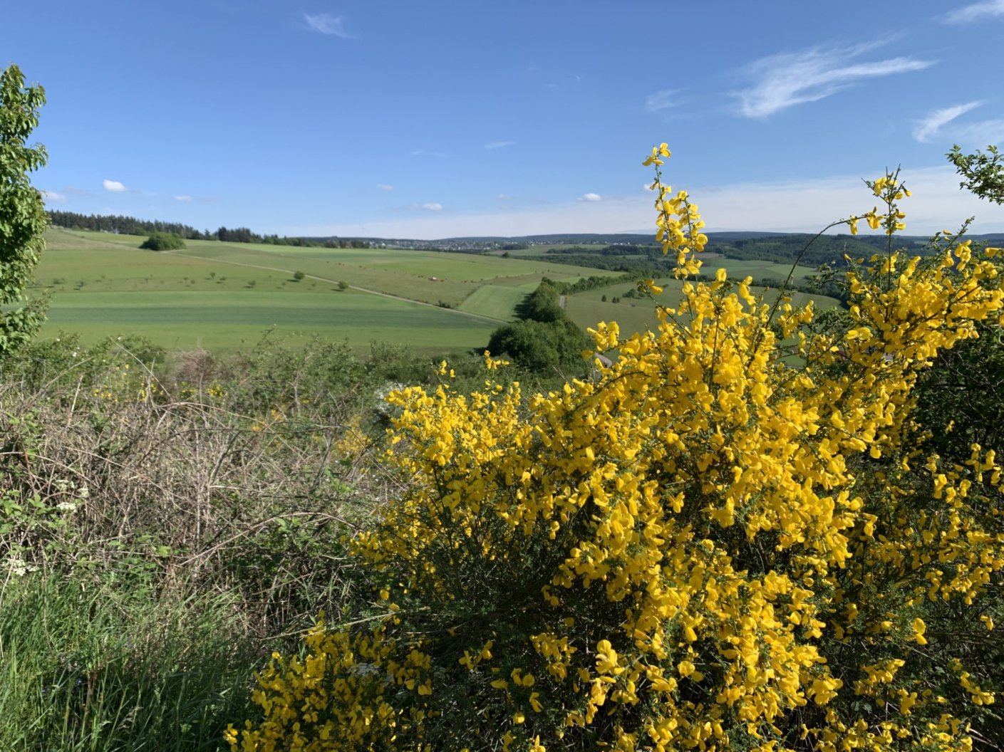 Ferienwohnung Kleinert im Ruwertal - Waldrach